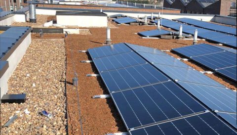 Eco Green Roofs: Leading UK Sustainable Roofing Solutions